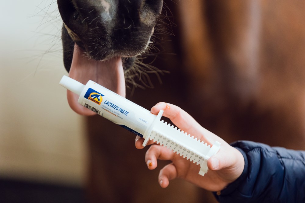 Lactatec pasta 60g - Cavalor Sweden